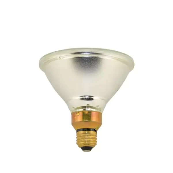 Bulb 120 Watt R40 Indoor Flood Light