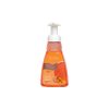 Hillyard Citrus Fresh Antimicrobial Foaming Hand Pump Soap HIL0040882